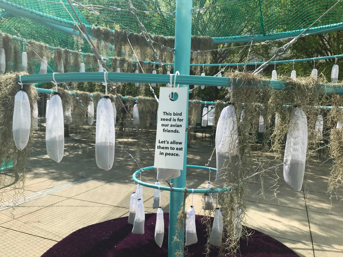 Giant Bird Feeder – Traveling at the Speed of Bike